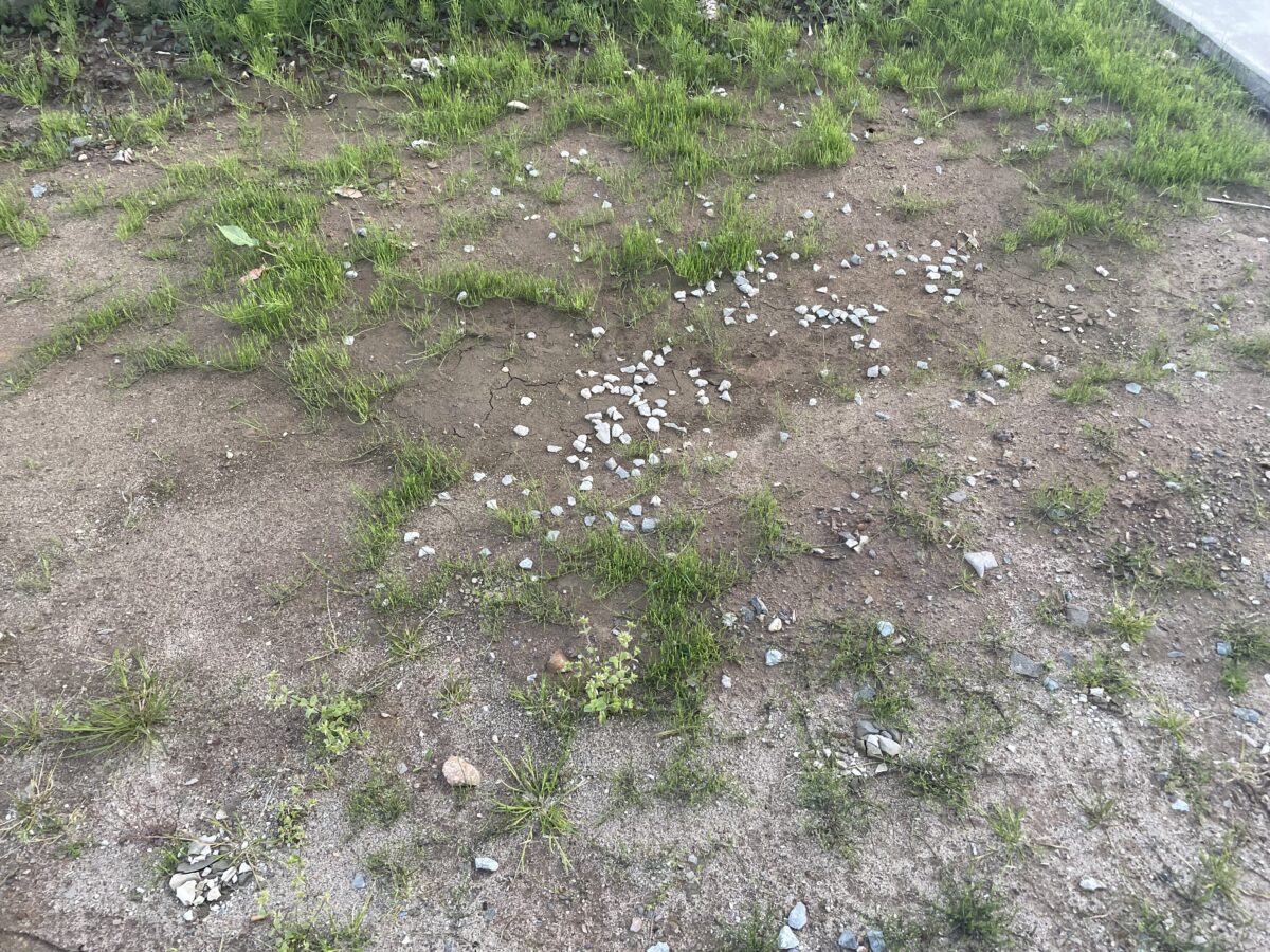 謎のぷるぷるについて・続報 」 秋田市の家づくり、新築住宅ならプライムハウス 工務部今野 美緒 スタッフブログ・コラム|プライムハウス 秋田県で新築戸建て着工棟数no1 注文住宅